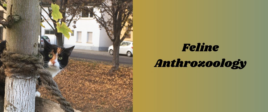 Feline Anthrozoology | Academic Cat Lady
