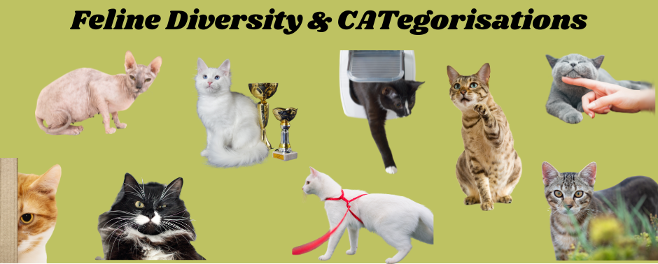 Feline Diversity | Academic Cat Lady