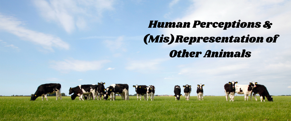 Human Perceptions & (Mis)Representation of Other Animals | Academic Cat ...
