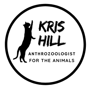 What Is Anthrozoology? And Why Anthrozoology? | Academic Cat Lady