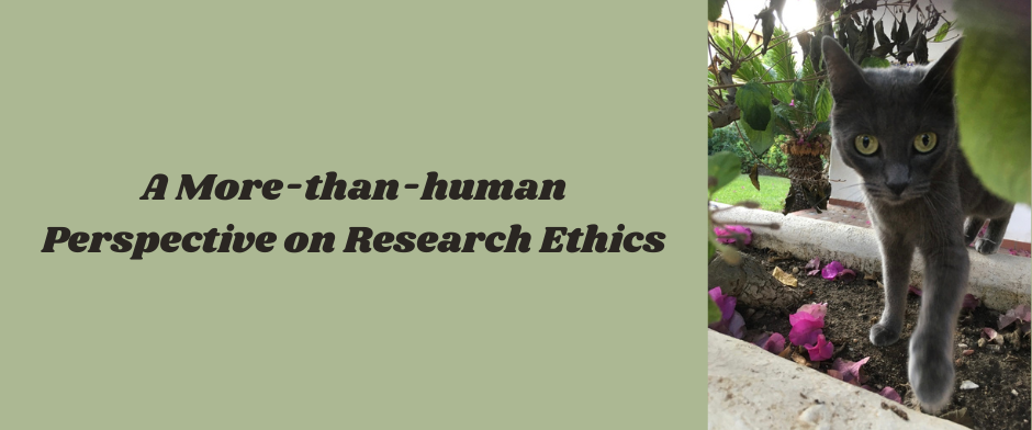 A More-than-human Perspective on Research Ethics | Academic Cat Lady