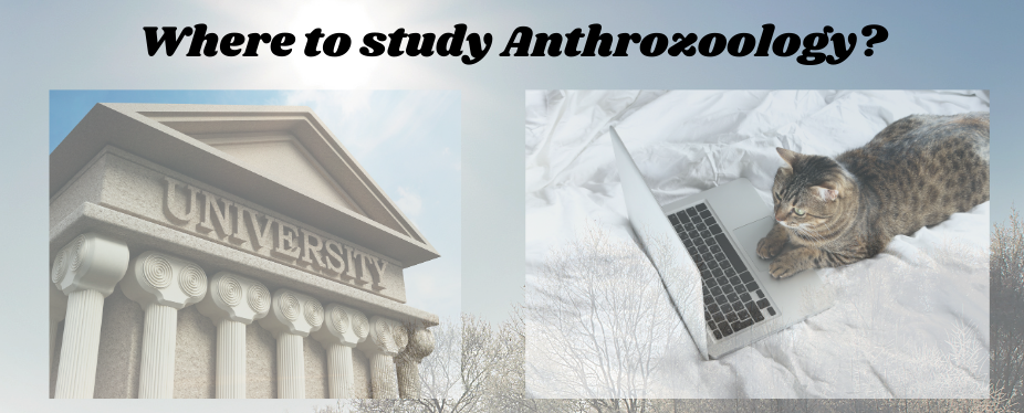 Where to Study Anthrozoology | Academic Cat Lady