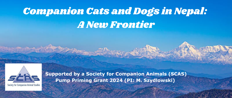 Companion Cats & Dogs In Nepal | Academic Cat Lady
